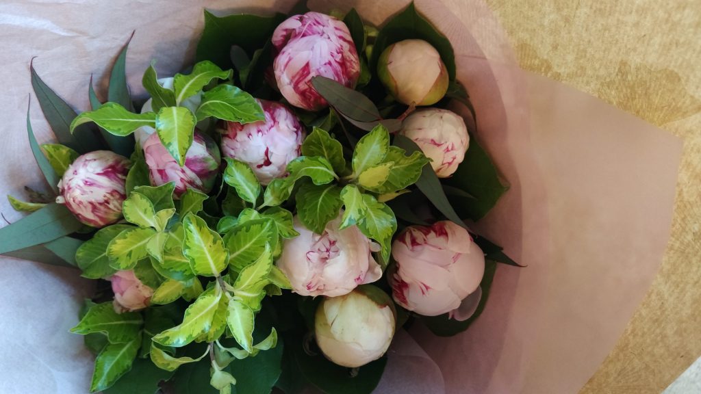 Miss sarah | Livraison à Wissous | La Fabrique Végétale