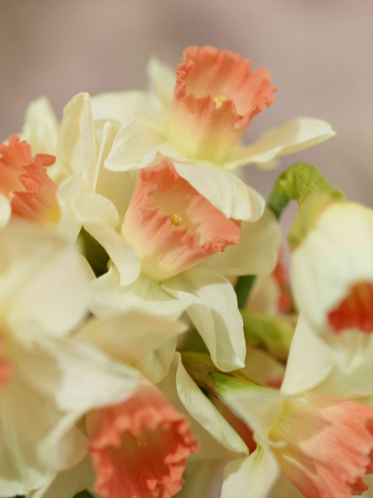 Anniversaire de mariage : le calendrier des noces par année | Sessile